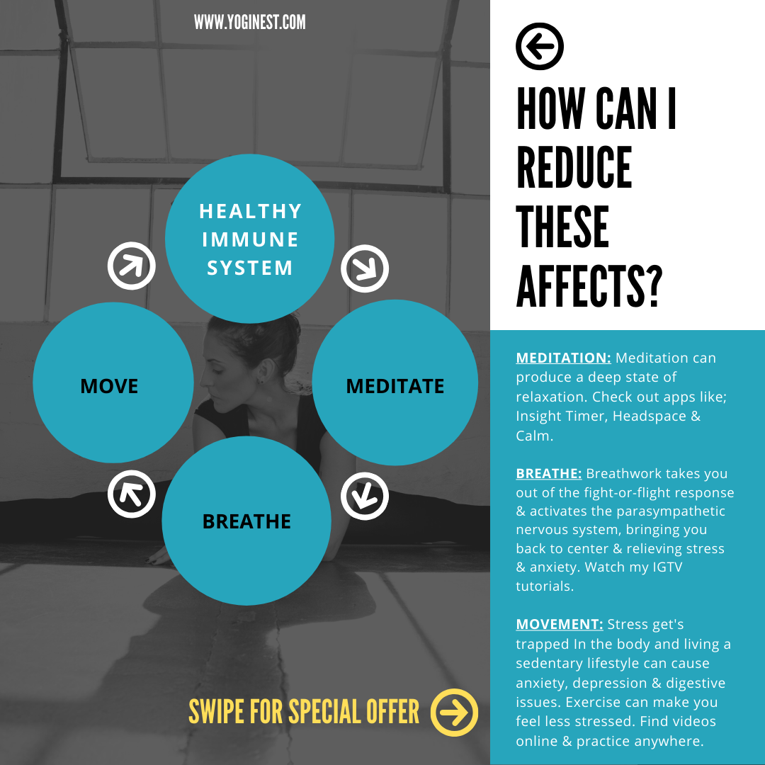 How does stress affect the immune system? – YogiNest